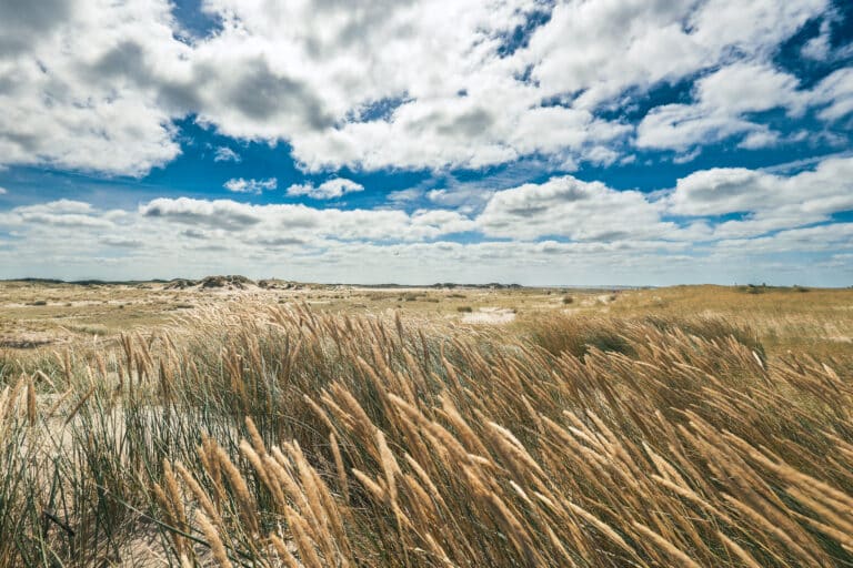 16 Attraktionen auf Rømø - Visit Rømø & Tønder